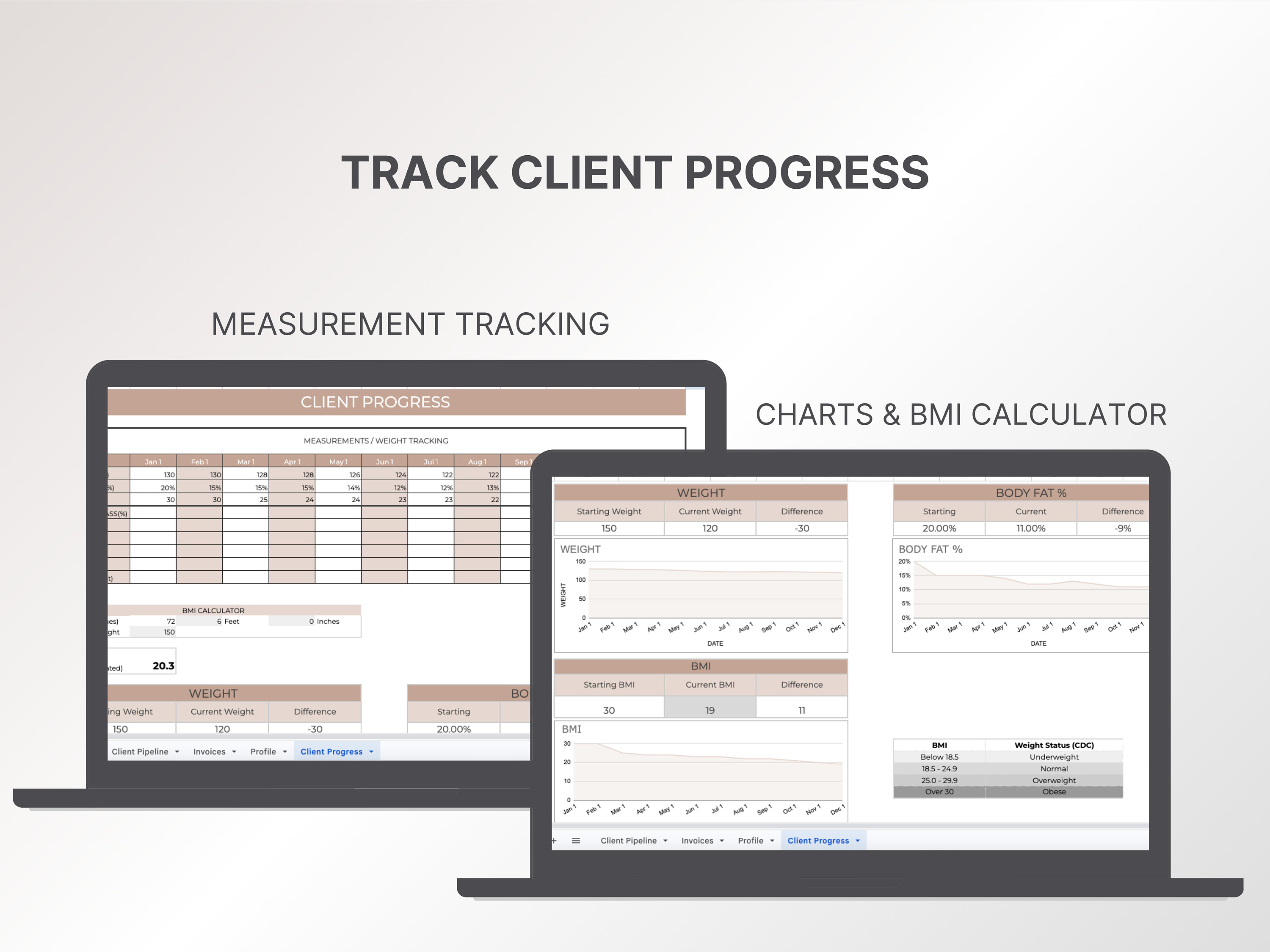 Personal Trainer Client Management Template: CRM & Progress Tracker ...
