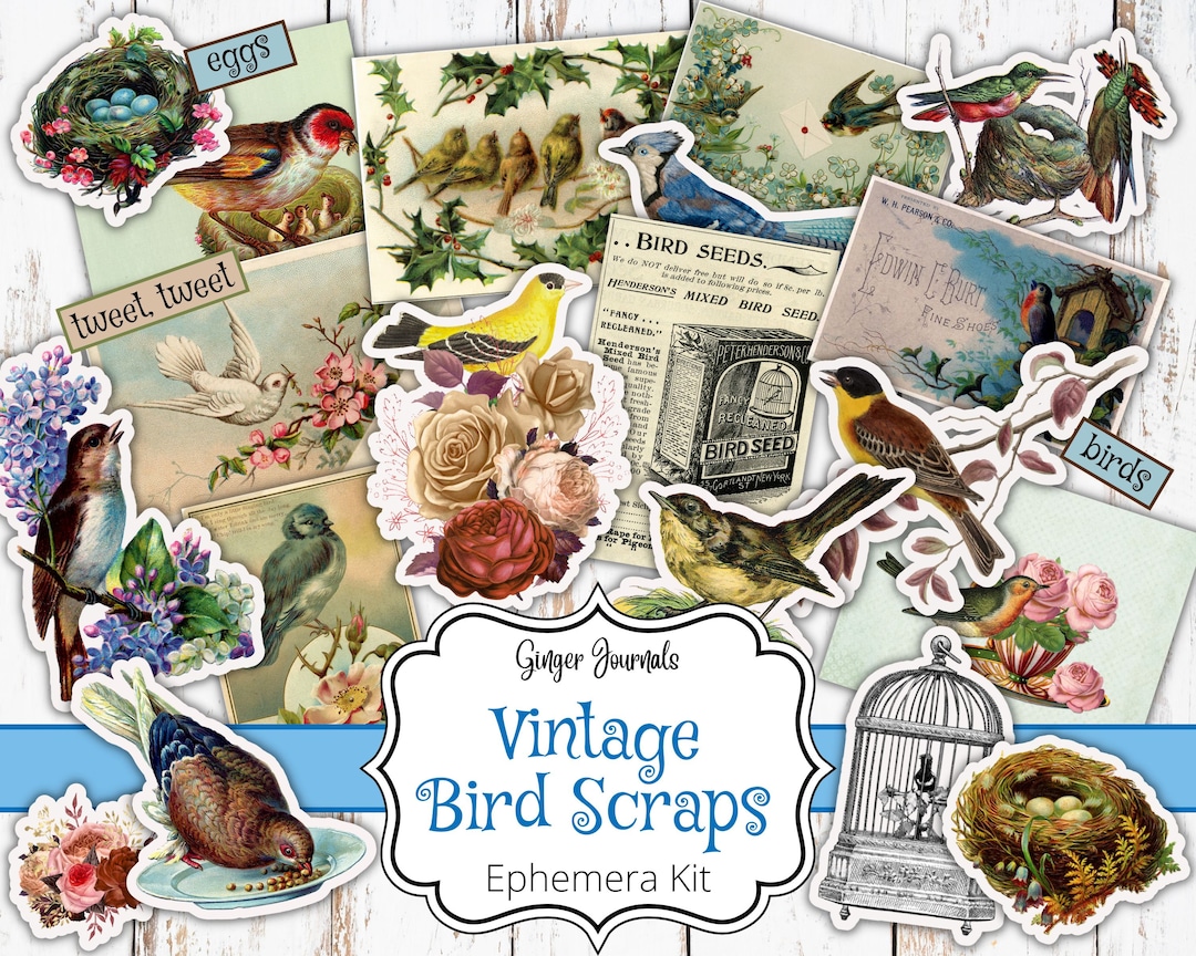 Vintage Bird Ephemera, Digital File, Scraps, Junk Journal Printable ...