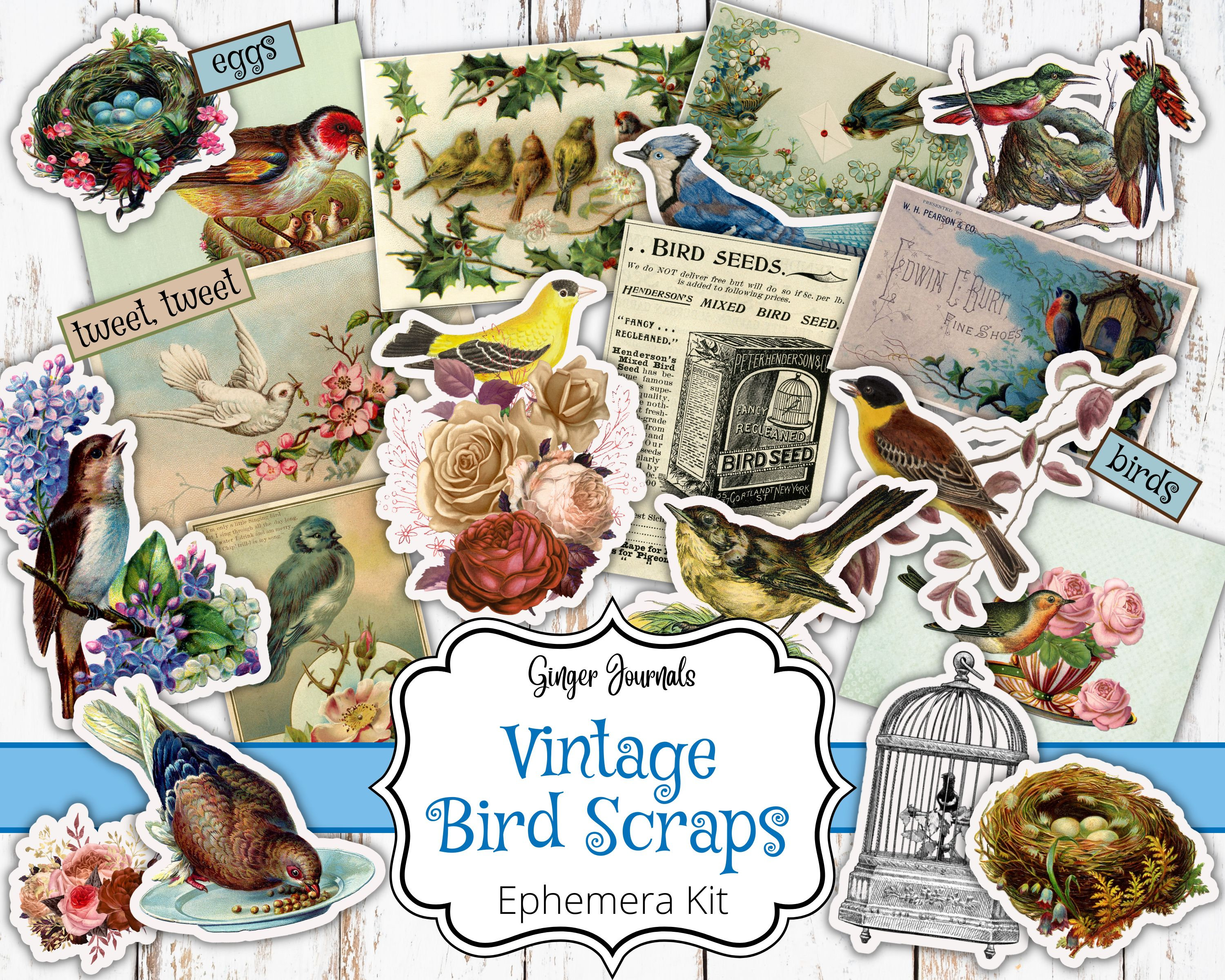 Vintage Bird Ephemera Digital File Scraps Junk Journal - Etsy