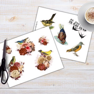 Vintage Bird Ephemera, Digital File, Scraps, Junk Journal Printable ...