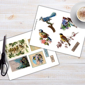 Vintage Bird Ephemera, Digital File, Scraps, Junk Journal Printable ...