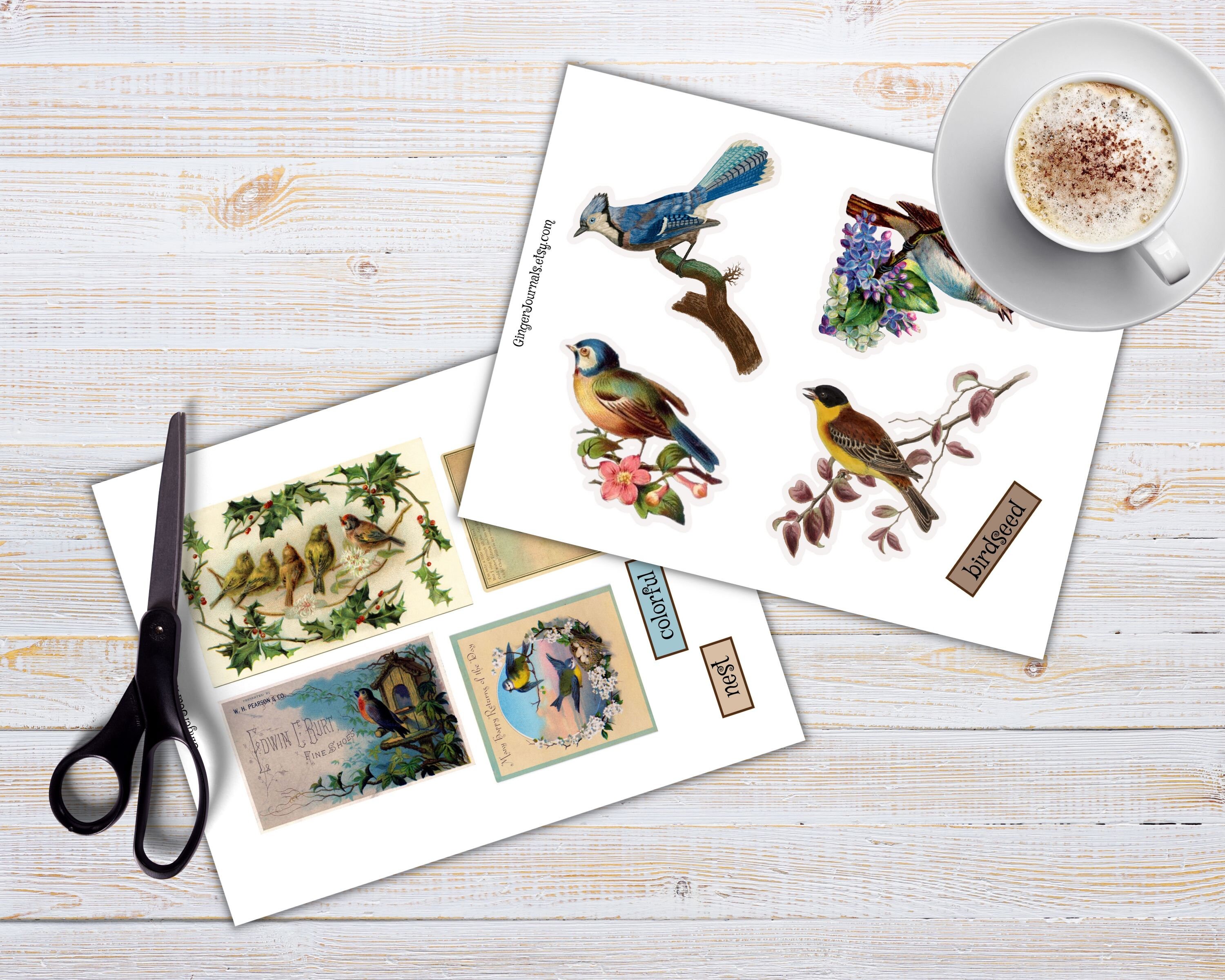 Vintage Bird Ephemera Digital File Scraps Junk Journal - Etsy