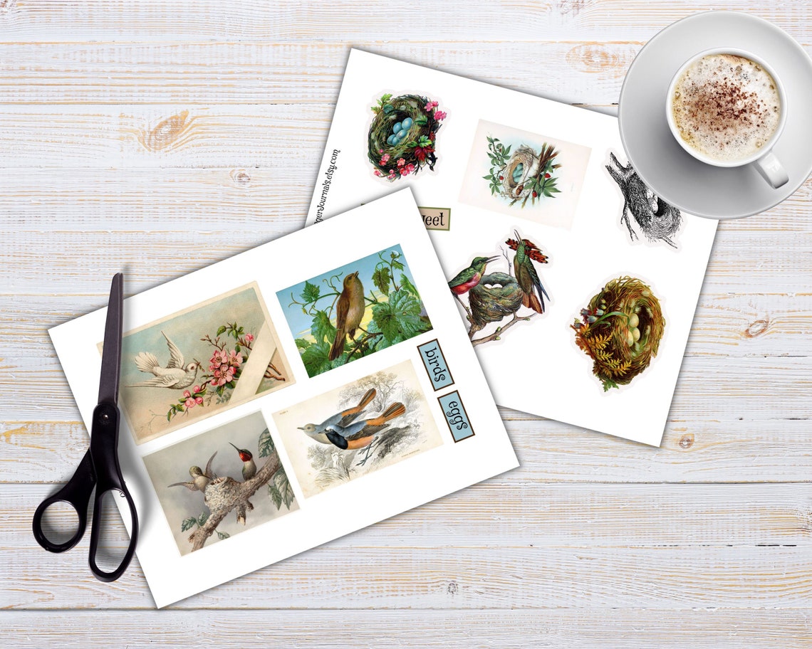 Vintage Bird Ephemera Digital File Scraps Junk Journal - Etsy