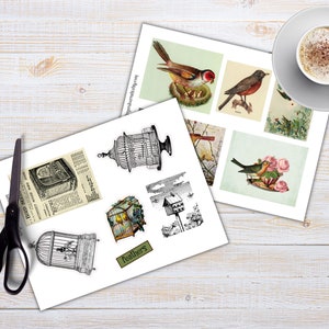 Vintage Bird Ephemera, Digital File, Scraps, Junk Journal Printable ...