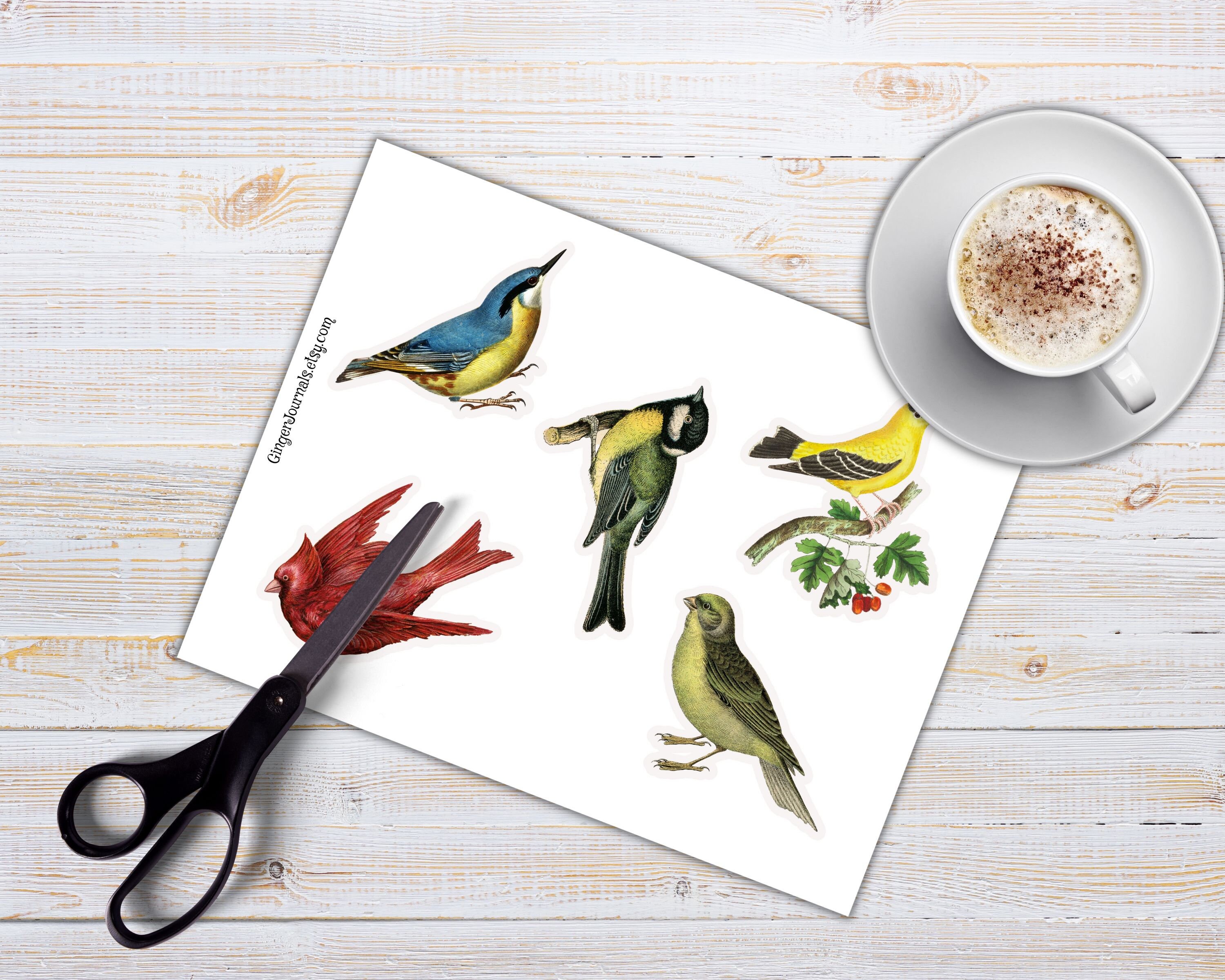 Vintage Bird Ephemera Digital File Scraps Junk Journal - Etsy