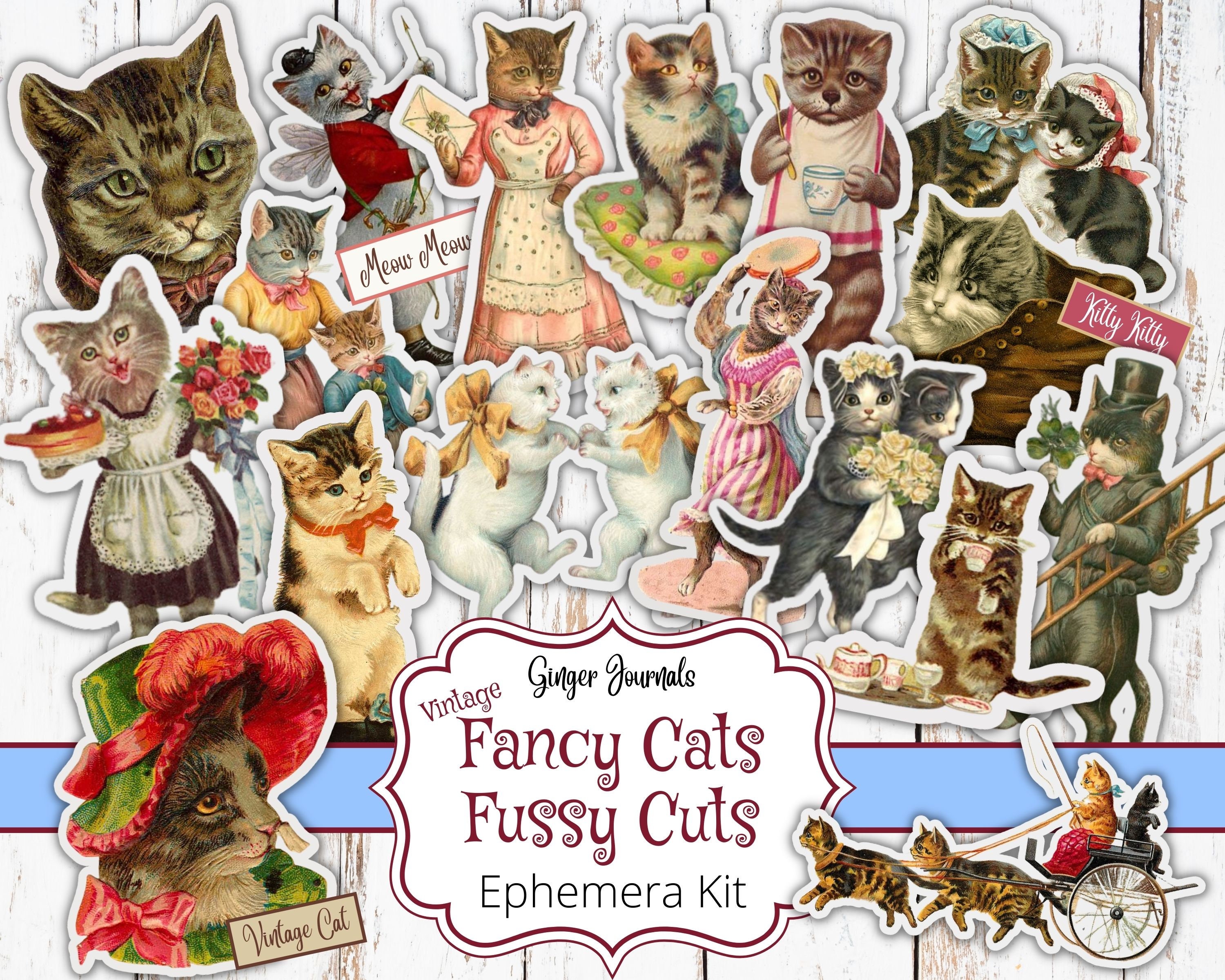 Vintage Cat Fussy Cuts Cat Ephemera Printable Ephemera Junk | Etsy New ...