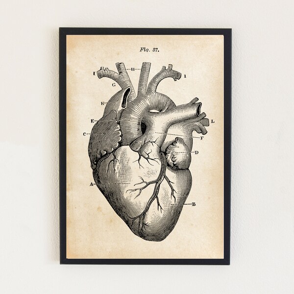 Heart Poster - Etsy