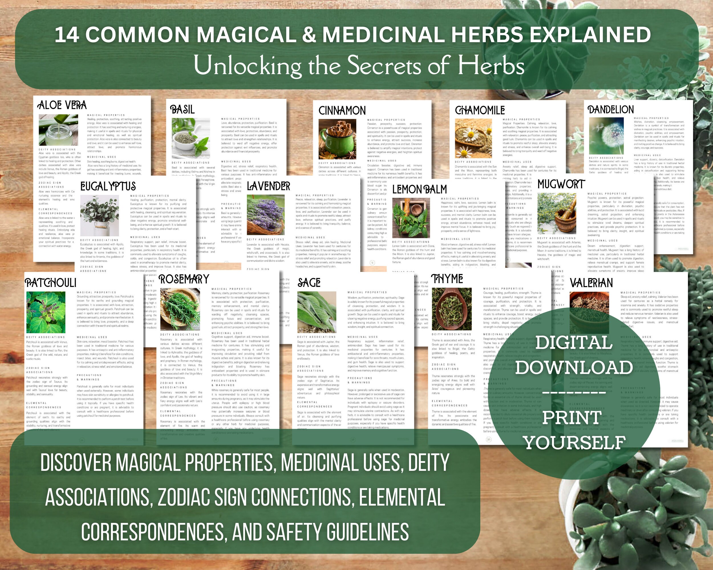 Herbal Alchemist: Secrets of Magical & Medicinal Herbs Explore ...