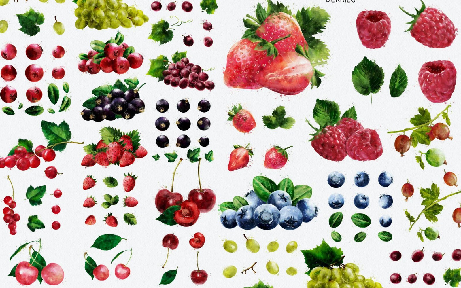 400 Watercolor Fruits Clipart Collection Fruit Variety - Etsy