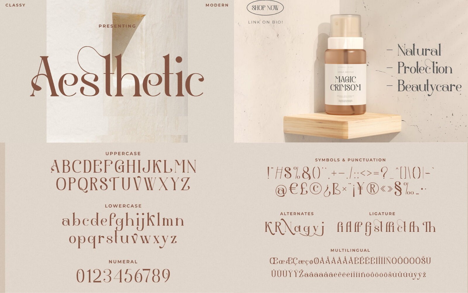 New Modern Font Bundle Serif Font Branding Font Font for Crafting's ...