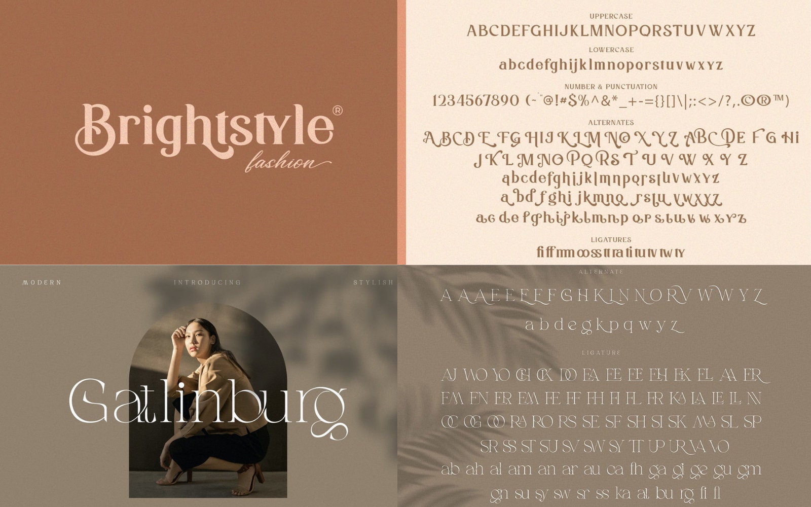 New Modern Font Bundle Serif Font Branding Font Font for Crafting's ...