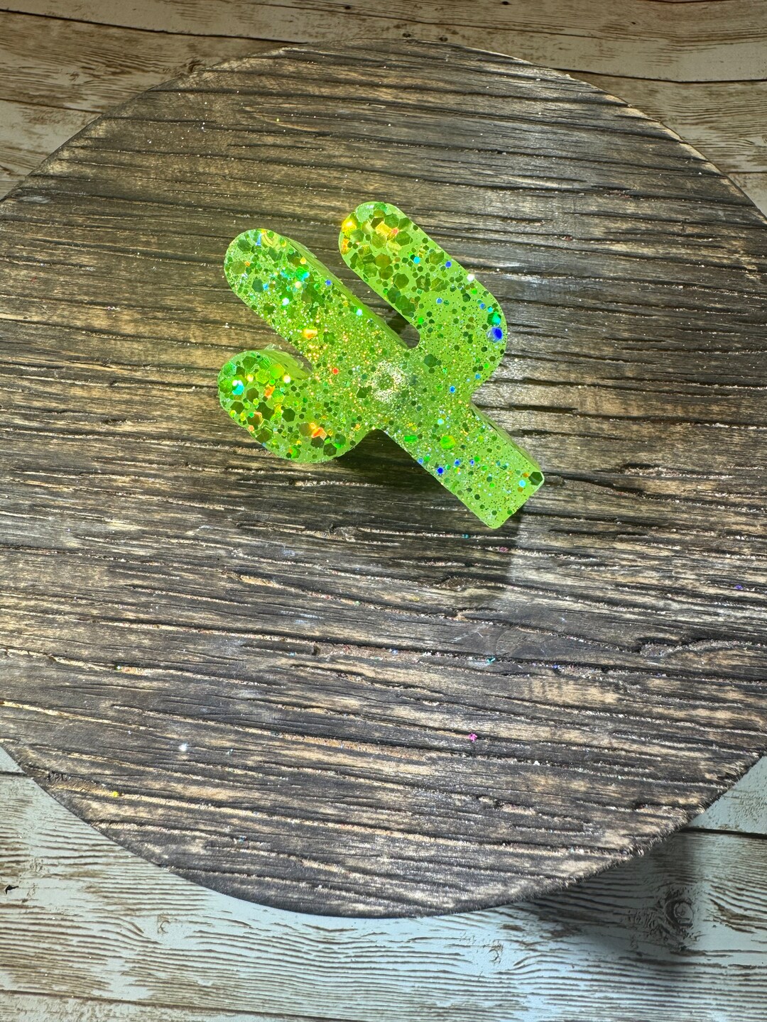 Cactus Vent Clips Freshie, Cactus Freshie, Vent Clip Freshie , Set of 2 ...