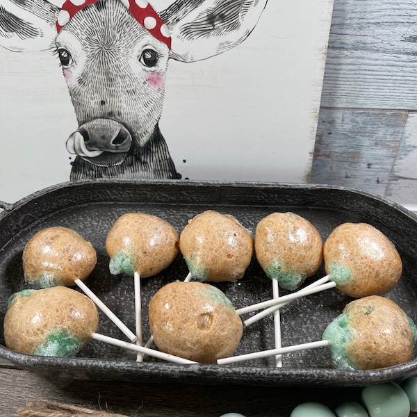 Freeze Dried Skittles - Etsy