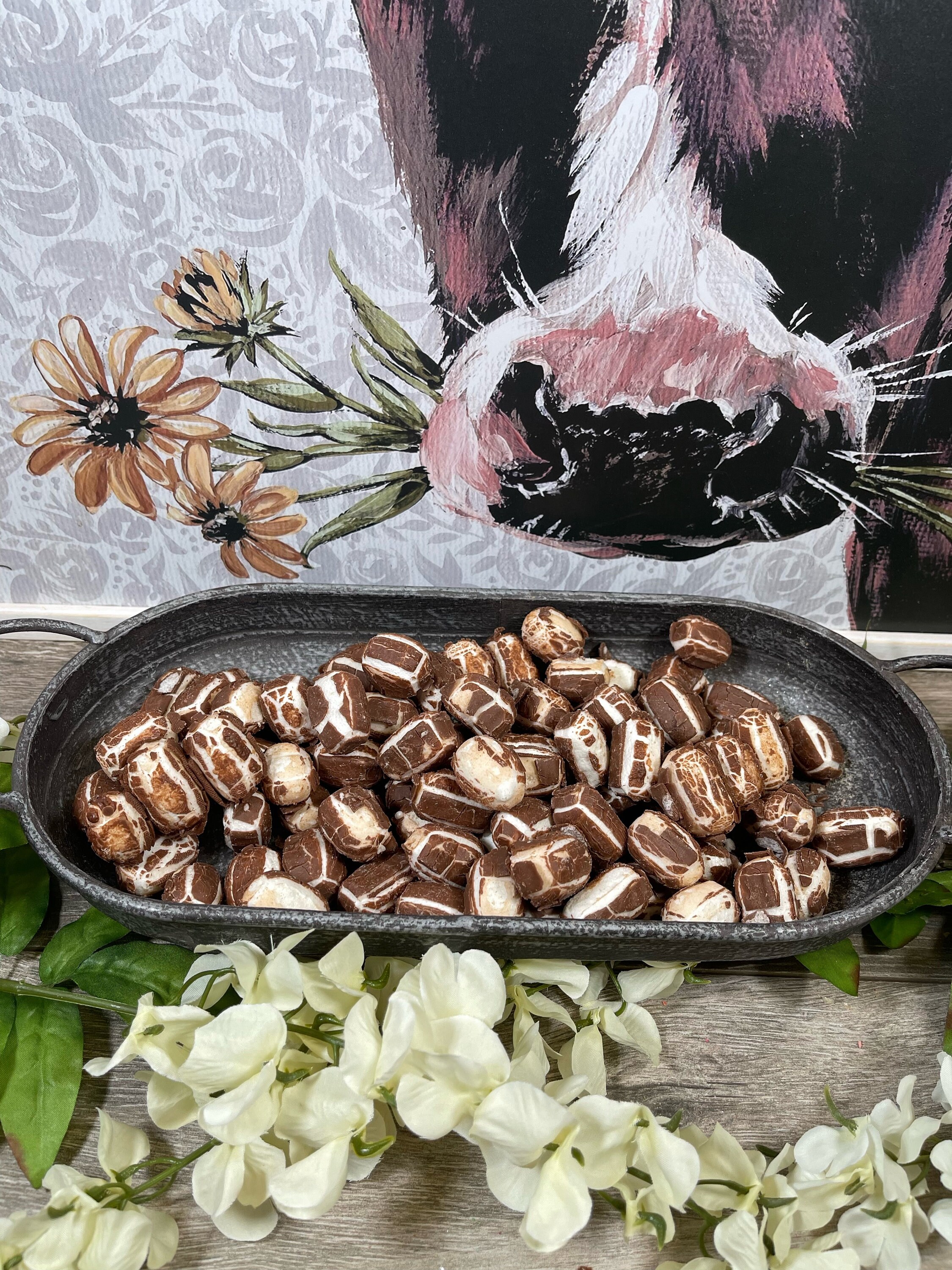 Freeze Dried Chocolate Coma Bundle Bulk Candy Bundle Freeze | Etsy