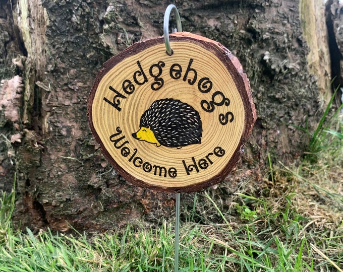 Hedgehog Garden Sign Solid Wood - Etsy UK
