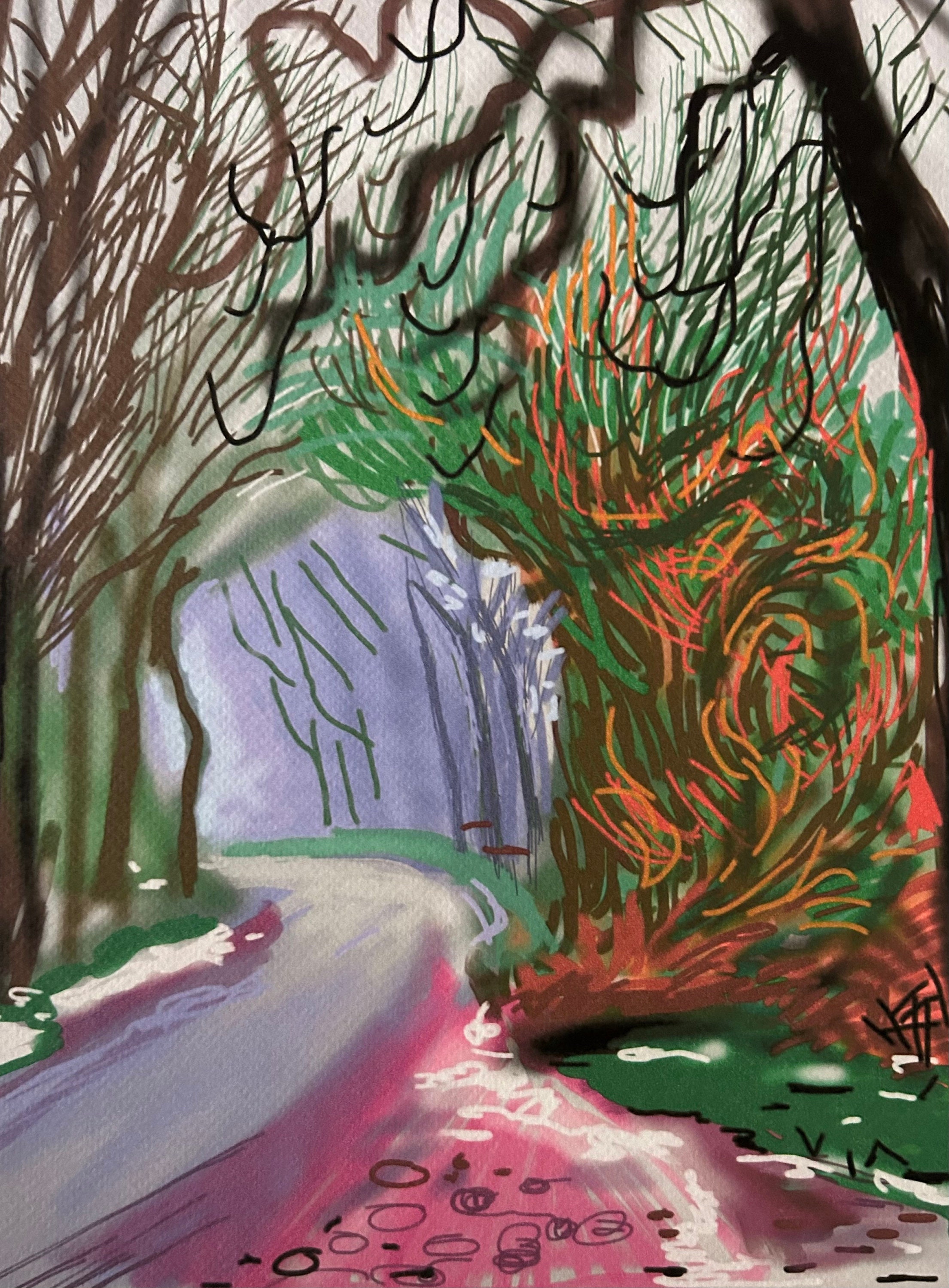 David Hockney after spring Time Limited Edition 31/200 Signed in the ...