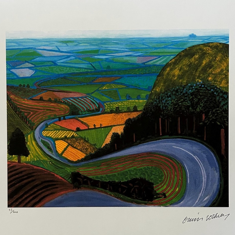 David Hockney iPad Art - Etsy Australia