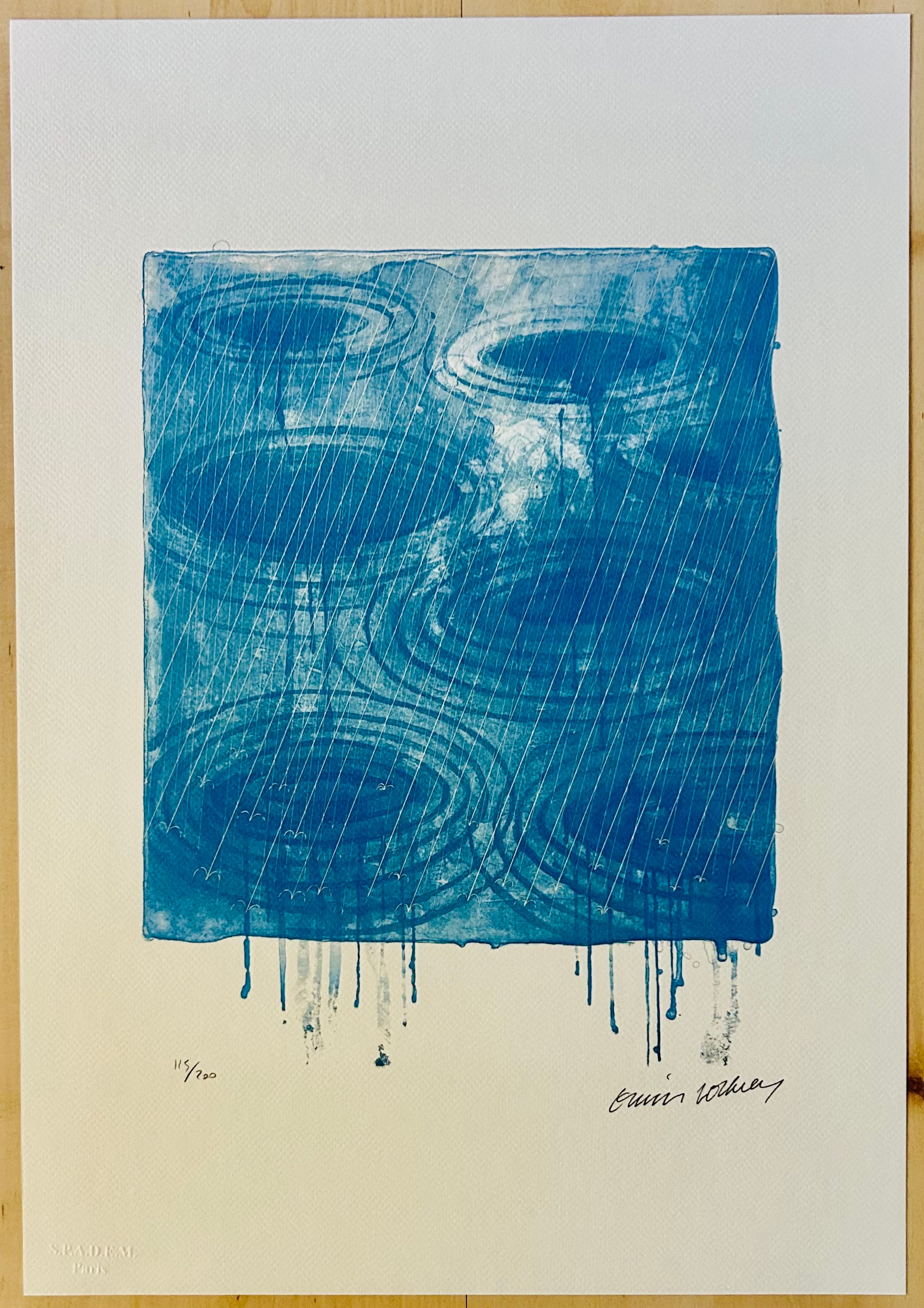 David Hockney after rain From the Weather - Etsy