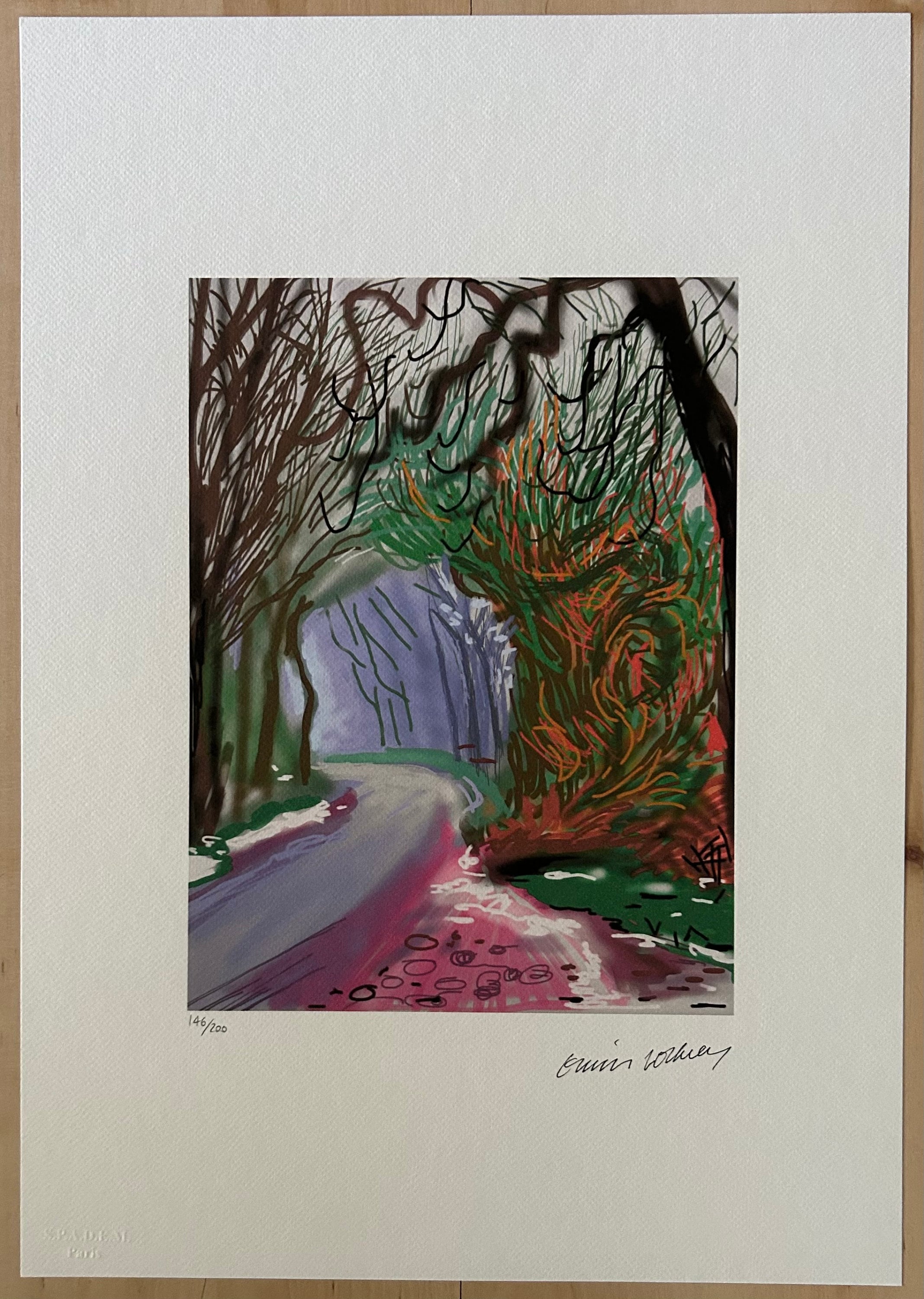 David Hockney after spring Time Limited Edition 31/200 Signed in the ...