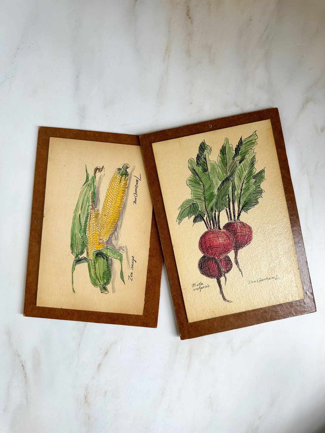 PAIR of Vintage Vegetable Prints - Etsy