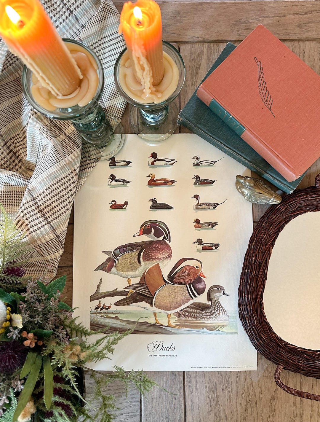 Antique Print of “ducks“ by Arthur Singer - Etsy