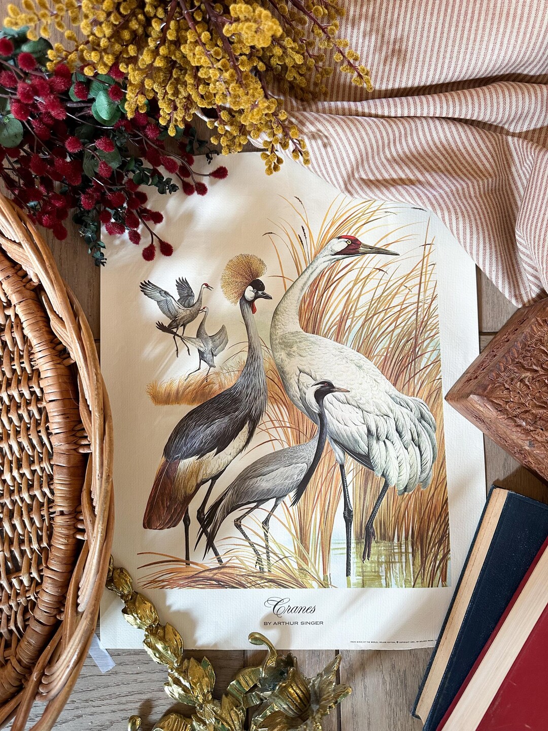 Antique Print of “cranes“ by Arthur Singer - Etsy