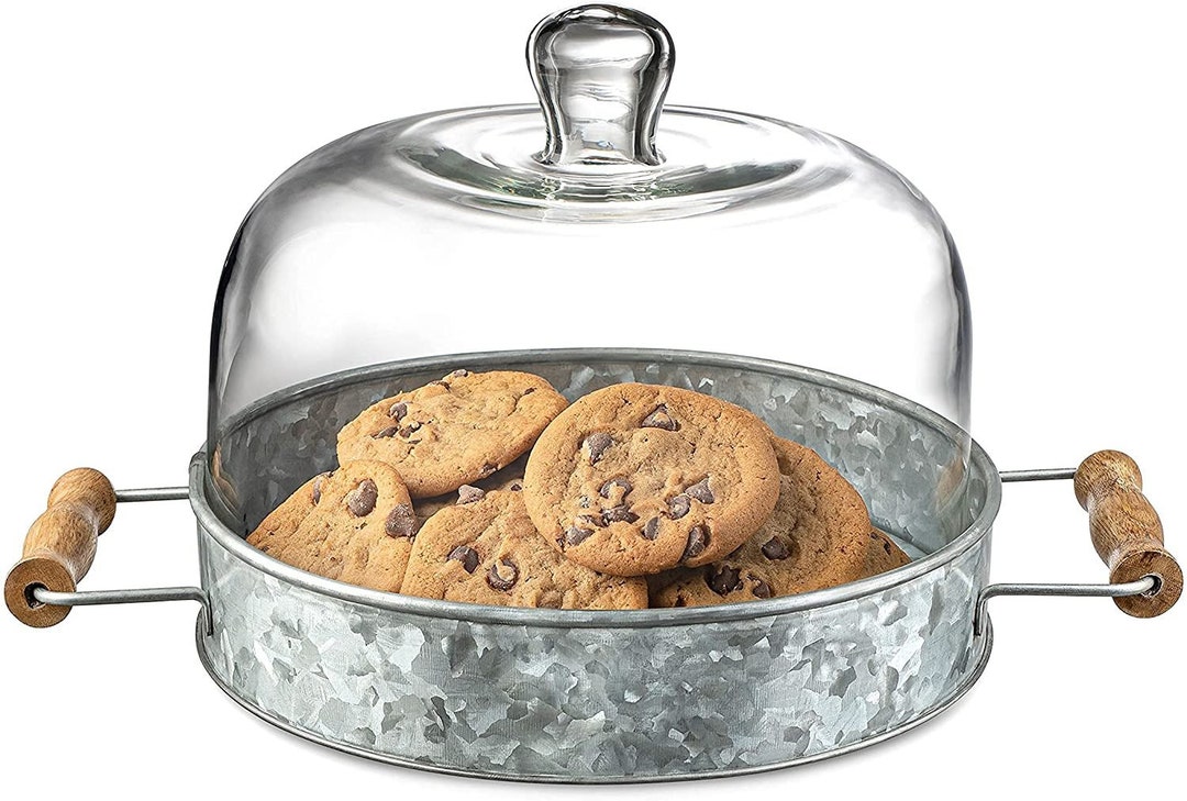 Farmhouse Cake Plate With Glass Dome: Galvanized Steel Platter - Etsy