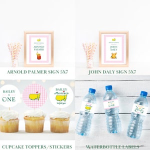 Mastered 1st Year Birthday Bundle + Extras, Pink Gingham Bundle, 15 ...