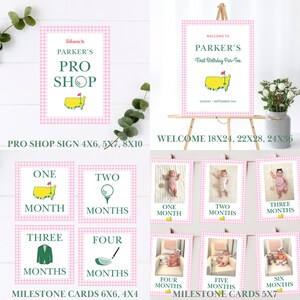 Mastered 1st Year Birthday Bundle + Extras, Pink Gingham Bundle, 15 ...