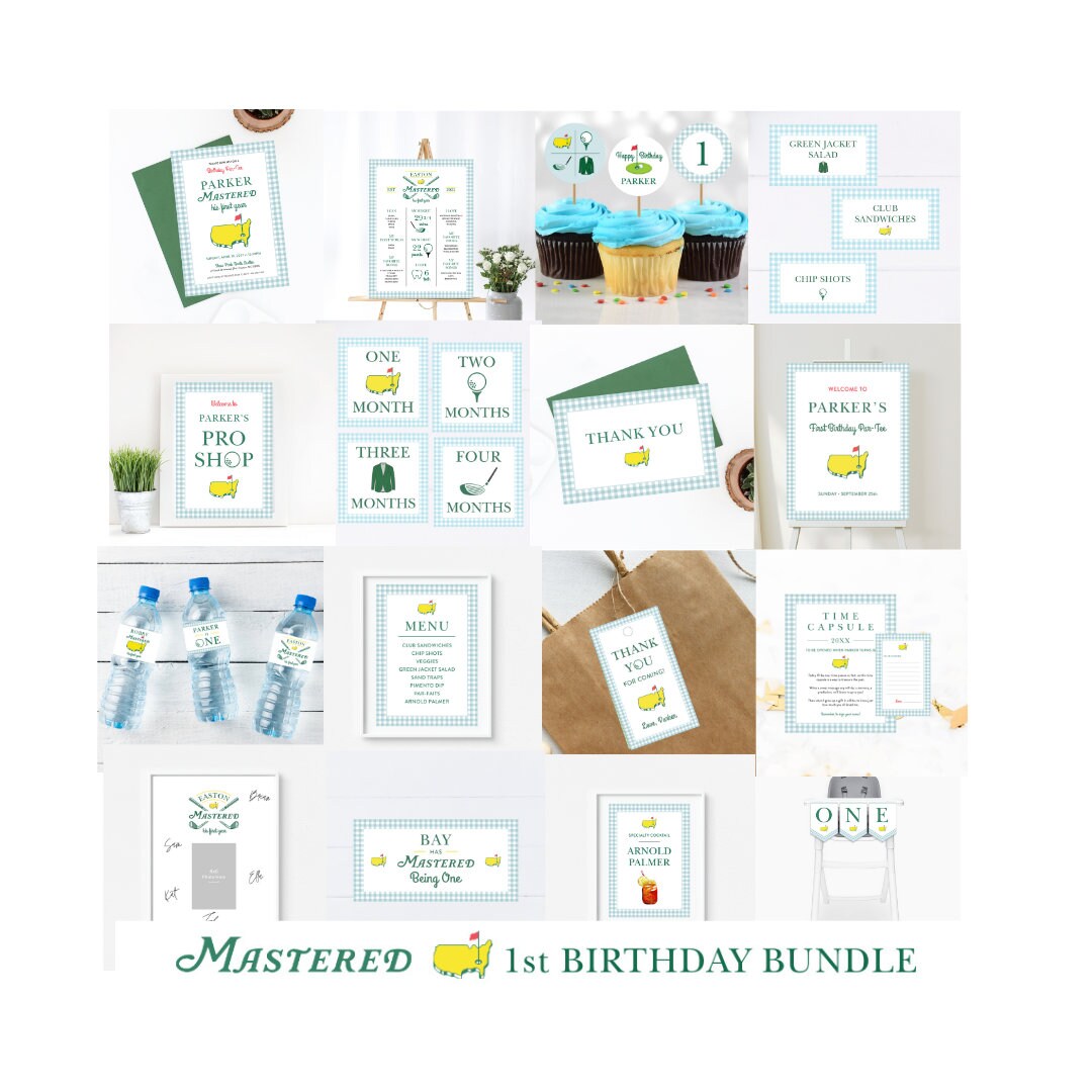 Mastered 1st Year Birthday Bundle + Extras, Blue Gingham Bundle, 15 ...