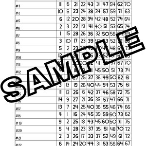 Full Card Bingo Holds, 10 Number (25 Card, Master, Call Sheet) - Etsy