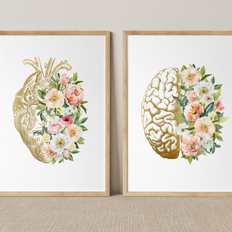 Medical Wall Decor - Etsy