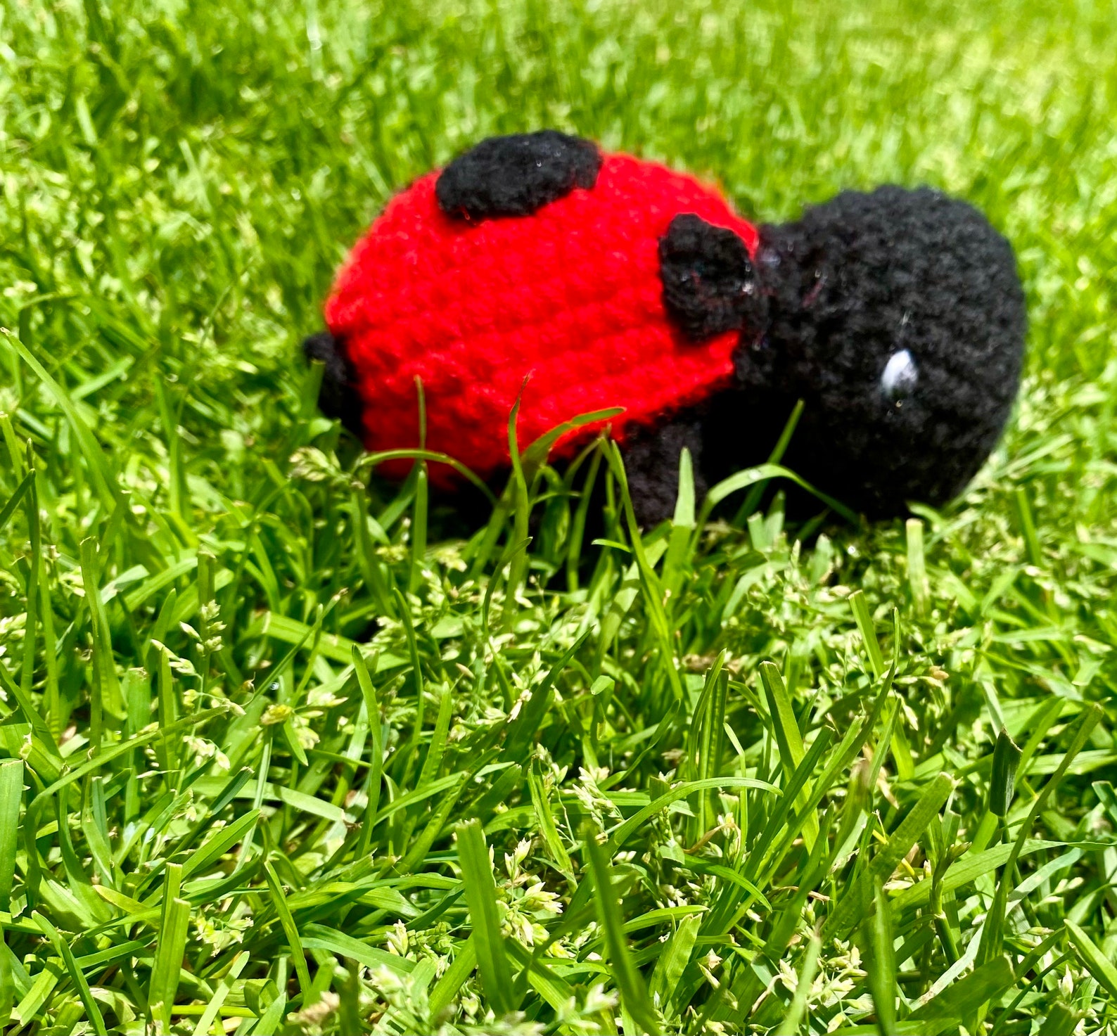 Ladybug Crochet Pattern, Crochet Ladybug Pattern, Amigurumi Ladybug ...