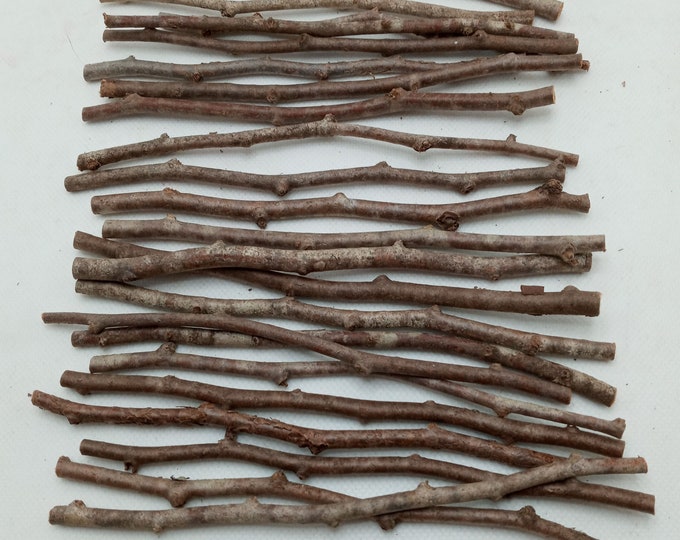 Bundle of 24 Natural Dry Cedar Sticks Branches 6.256.75 in Length - Etsy