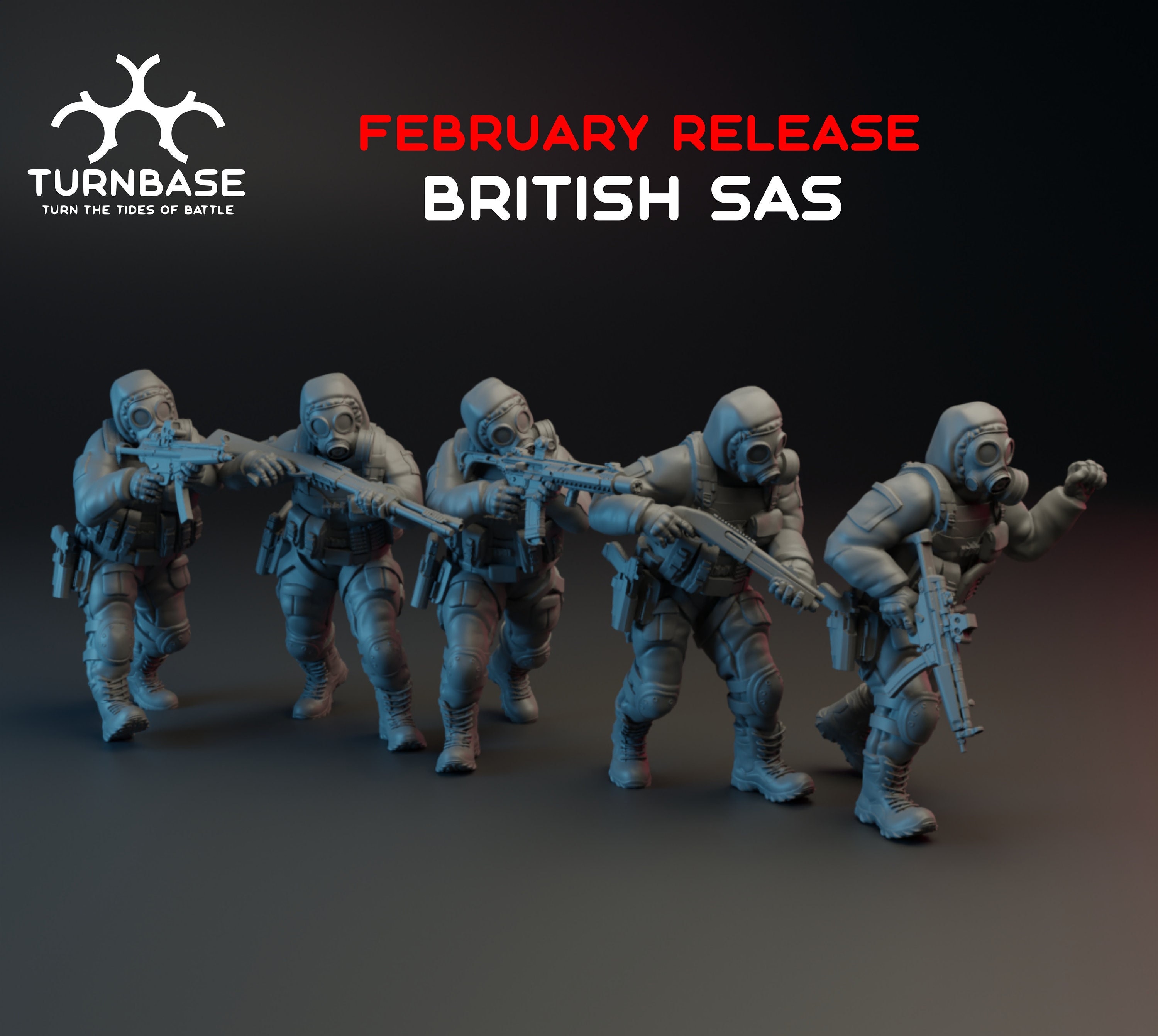 British Sas In Action