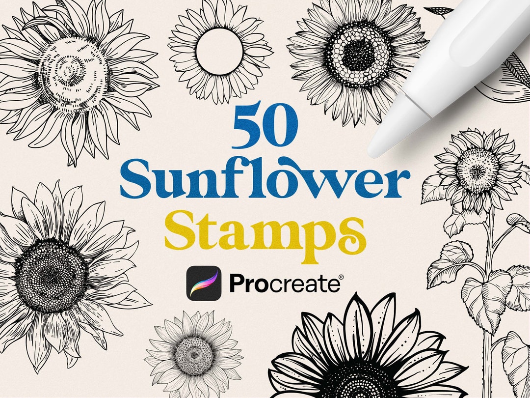 Procreate Sunflower Stamps | Ukraine Sunflower | Procreate Stamps ...