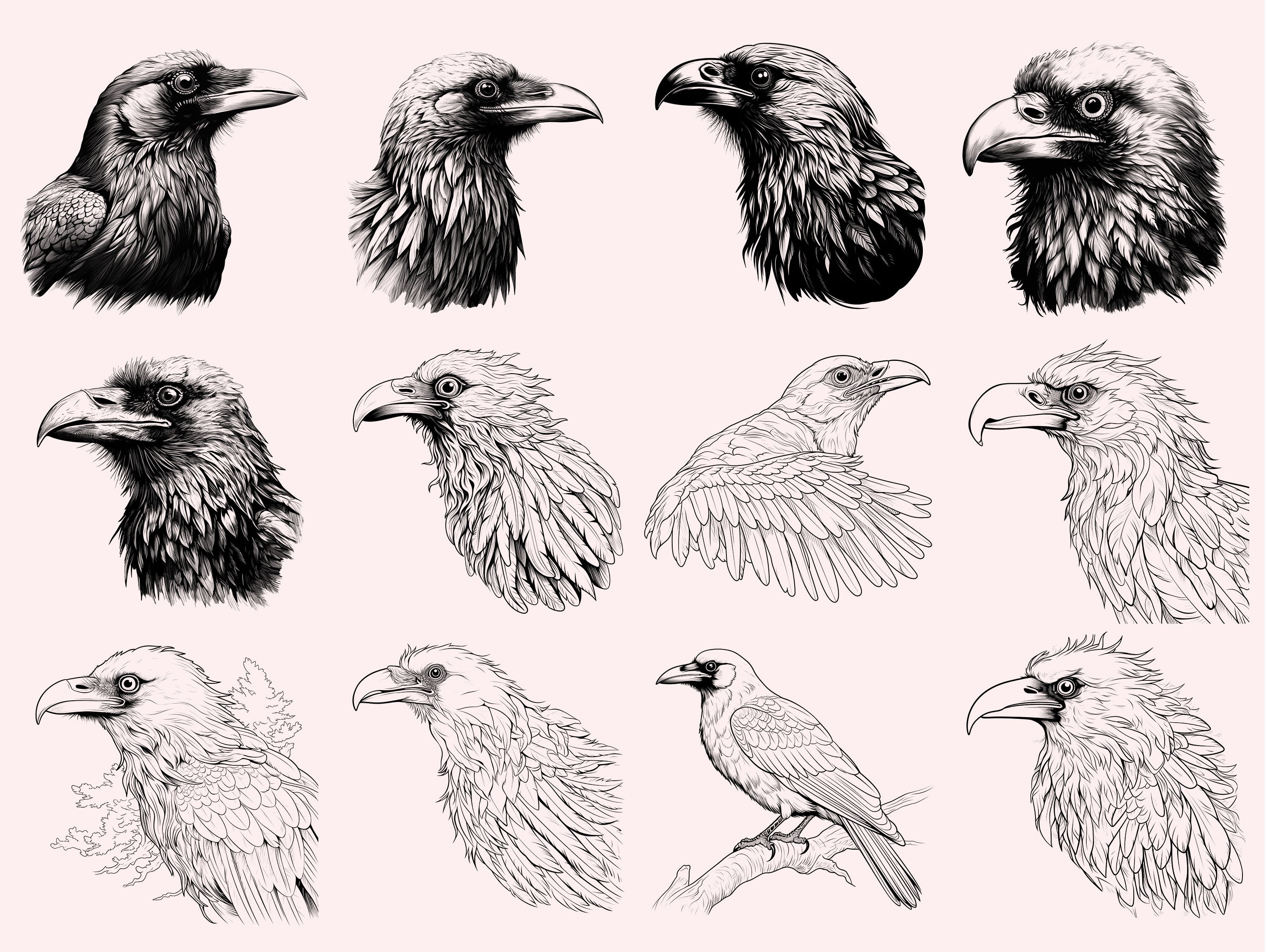 100+ Raven Stamps Brushes for Procreate, Instant Digital Download of ...