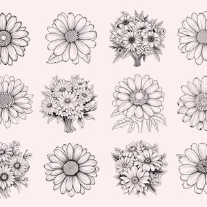 100+ Daisy Stamps Brushes for Procreate, Instant Digital Download of ...