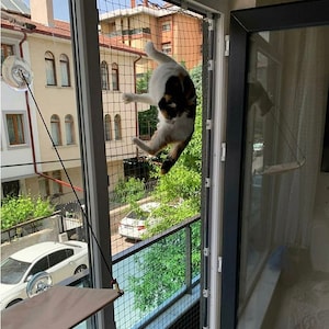 Mesh Window Protection for Cats, Window Safety for Pets, Custom Flat ...