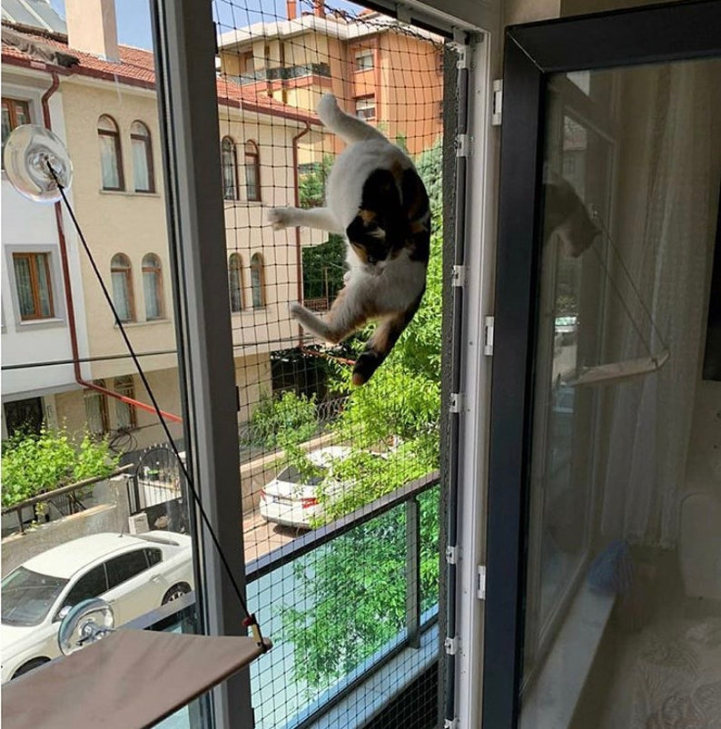 Mesh Window Protection for Cats, Window Safety for Pets, Custom Flat ...