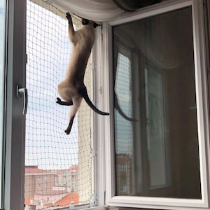 Mesh Window Protection for Cats, Window Safety for Pets, Custom Flat ...