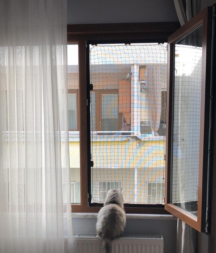 Mesh Window Protection for Cats, Window Safety for Pets, Custom Flat ...
