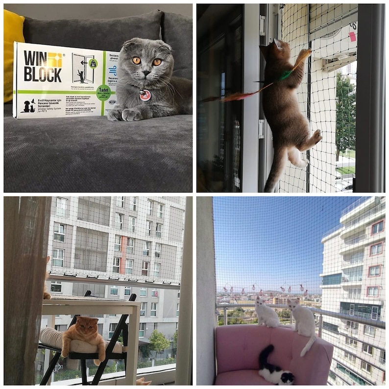 Mesh Window Protection for Cats, Window Safety for Pets, Custom Flat ...