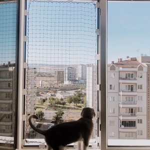 Mesh Window Protection for Cats, Window Safety for Pets, Custom Flat ...