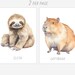 24 Homeschooling Printable Flash Cards for Kids Rain Forest Animals ...