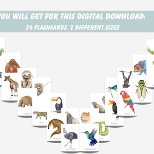 24 Homeschooling Printable Flash Cards for Kids Rain Forest Animals ...