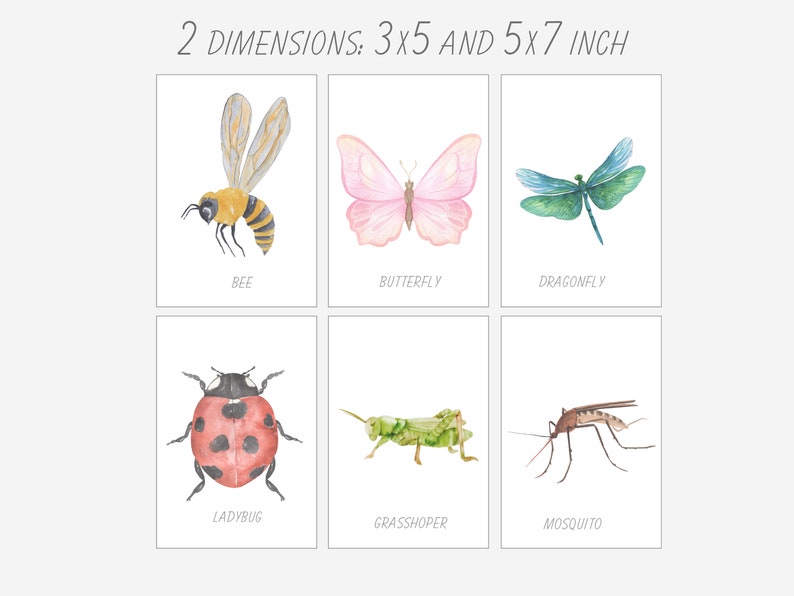 18 Printable Flash Cards for Kids Insects Flashcards Flash Cards ...