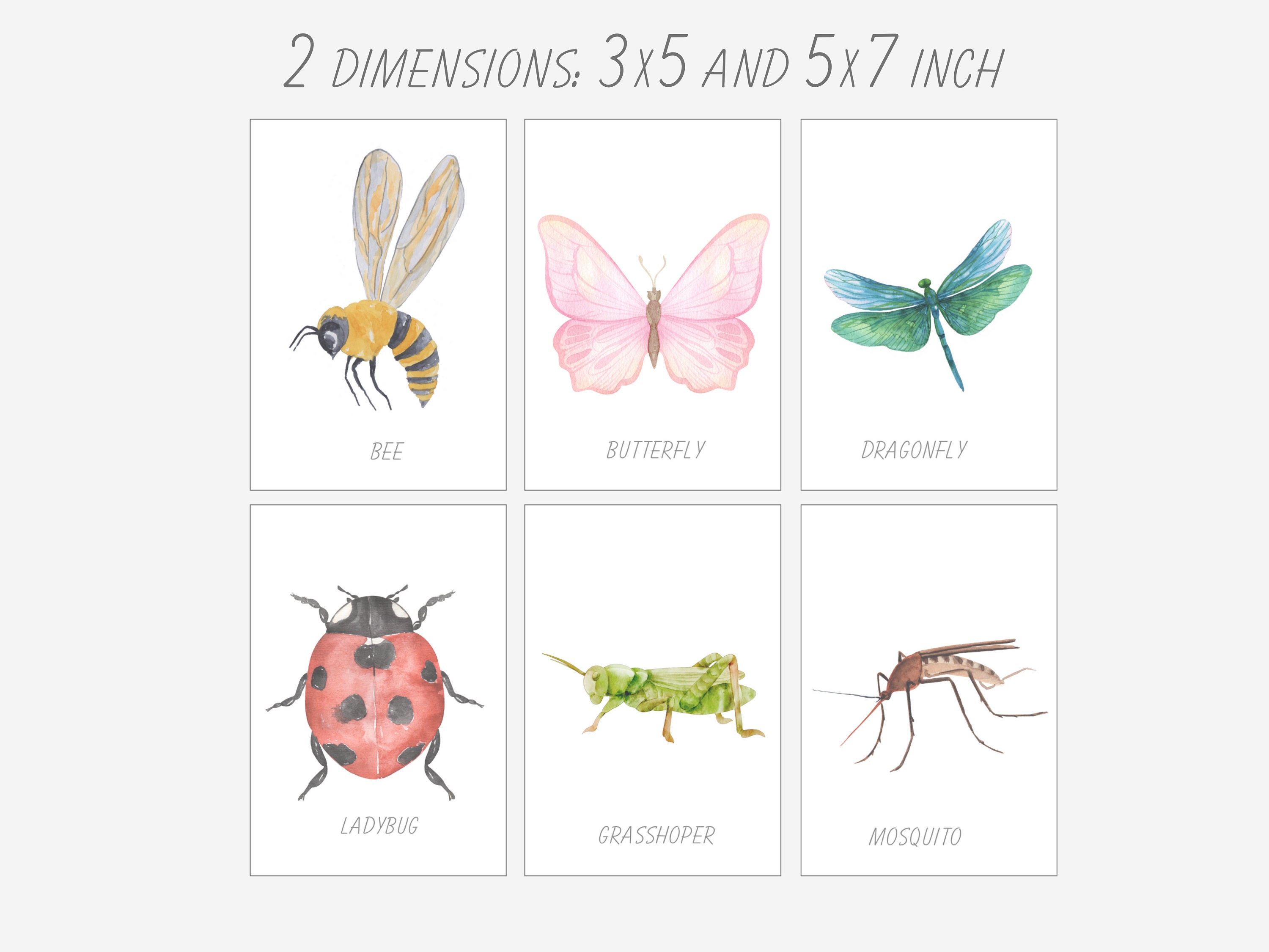 18 Printable Flash Cards for Kids Insects Flashcards Flash Cards ...