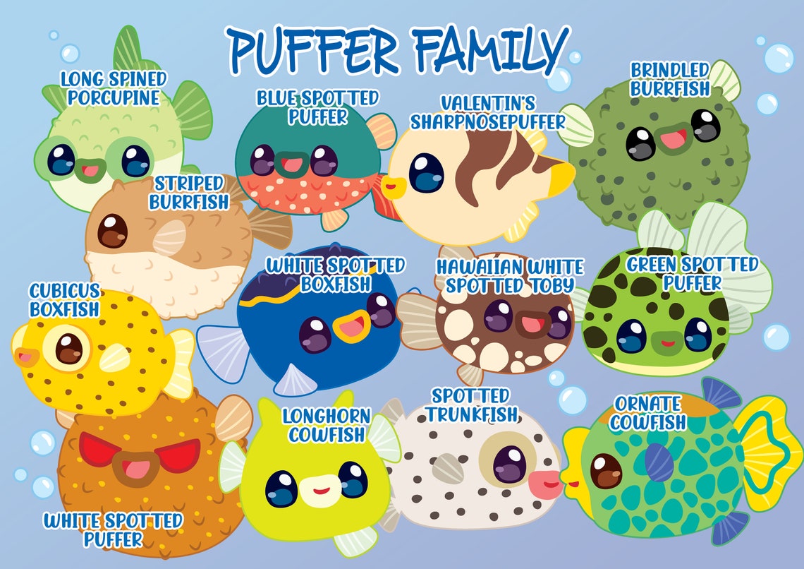 Puffer Fish Clipart Puffers Vector Baby Burrfish Cute - Etsy
