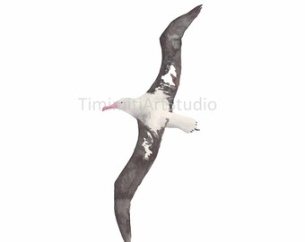 Albatross Print - Etsy